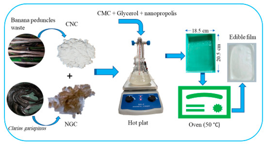 Bio-Nanocomposite Based on Edible Gelatin Film as Active Packaging from ...