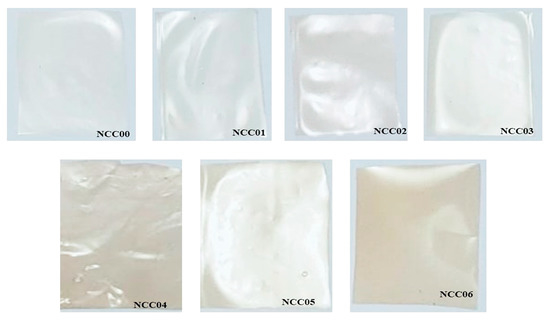 Bio-Nanocomposite Based on Edible Gelatin Film as Active Packaging from ...