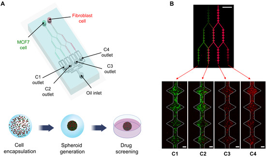 3D Multicellular Tumor Spheroids in a Microfluidic Droplet System for ...