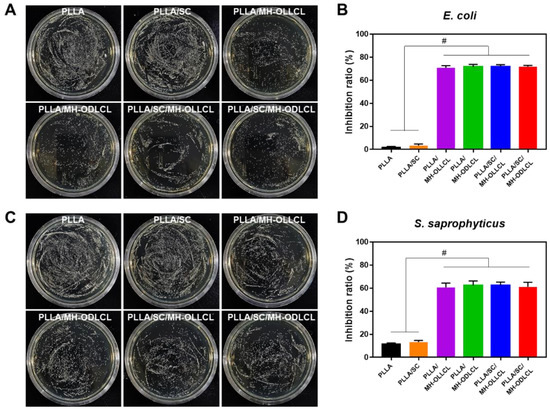 Enhanced Mechanical Properties and Anti–Inflammation of Poly(L–Lactic ...