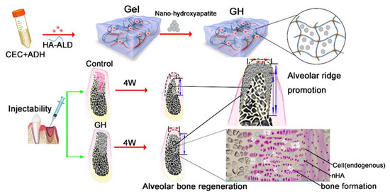 Application of Nano-Inspired Scaffolds-Based Biopolymer Hydrogel for ...