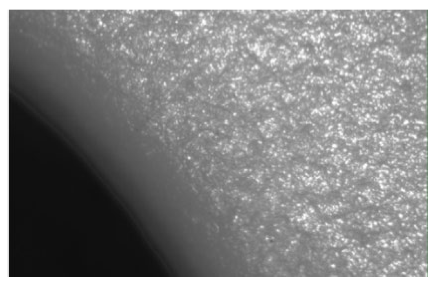 Novel Method for Failure Modes Detection in UV-Cured Clear Coated ...