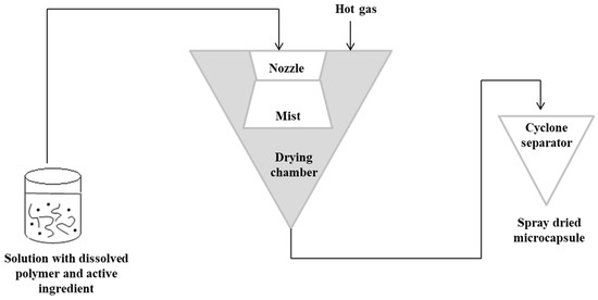 Preparation and Characteristics of Alginate Microparticles for Food ...