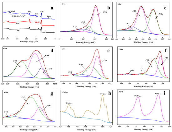 N-Doped Biochar from Lignocellulosic Biomass for Preparation of ...