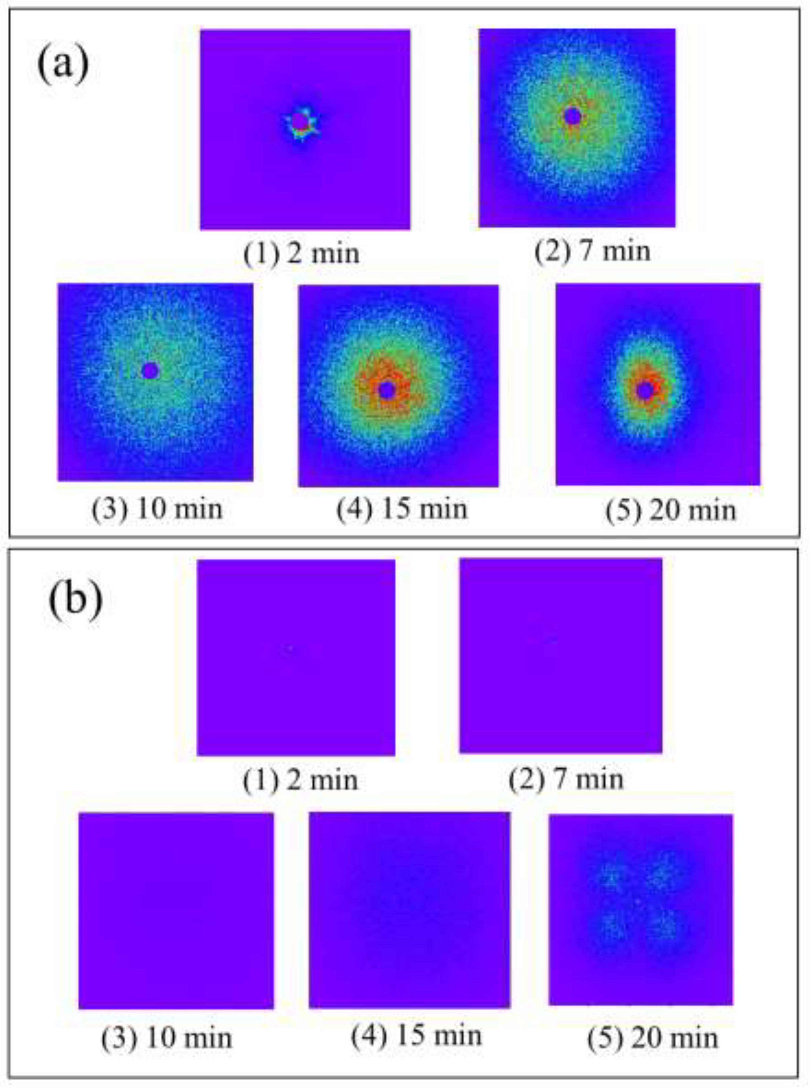 Two-Stage Evolution of Gamma-Phase Spherulites of Poly (Vinylidene ...
