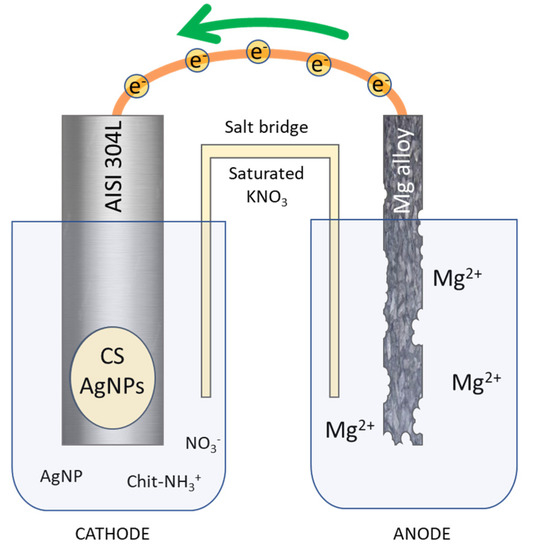 Composite Coatings of Chitosan and Silver Nanoparticles Obtained by ...