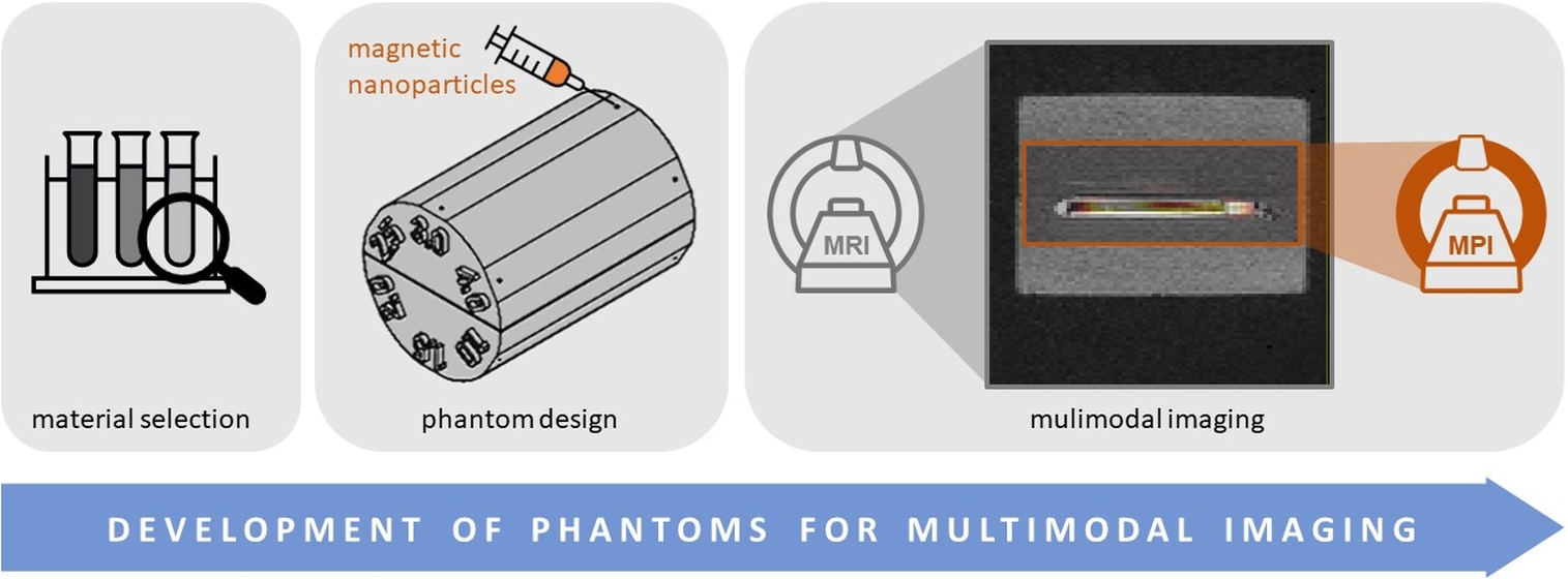 Polymers | Free Full-Text | Development of Phantoms for Multimodal ...