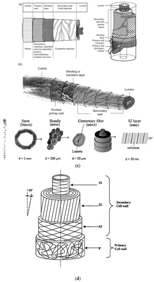 Methods for Natural and Synthetic Polymers Recovery from Textile Waste