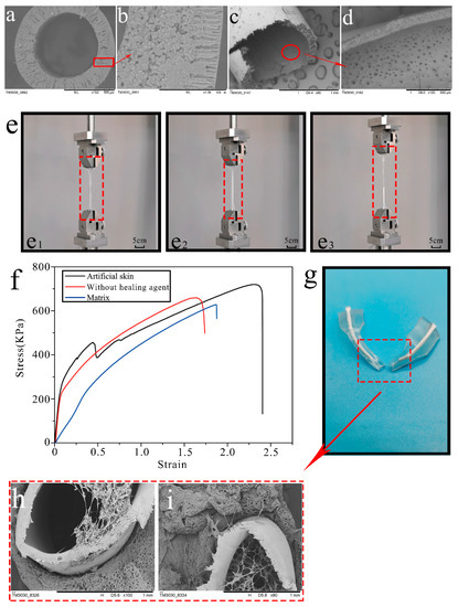 Smart Self-Nourishing and Self-Healing Artificial Skin Composite Using ...