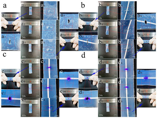 Smart Self-Nourishing and Self-Healing Artificial Skin Composite Using ...