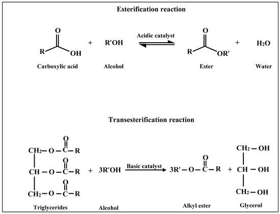 Utilization of Polymeric Materials toward Sustainable Biodiesel ...