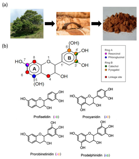 A Review of Rigid Polymeric Cellular Foams and Their Greener Tannin ...
