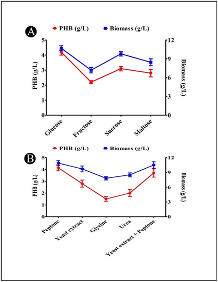 Polyhydroxybutyrate (PHB)-Based Biodegradable Polymer from Agromyces ...