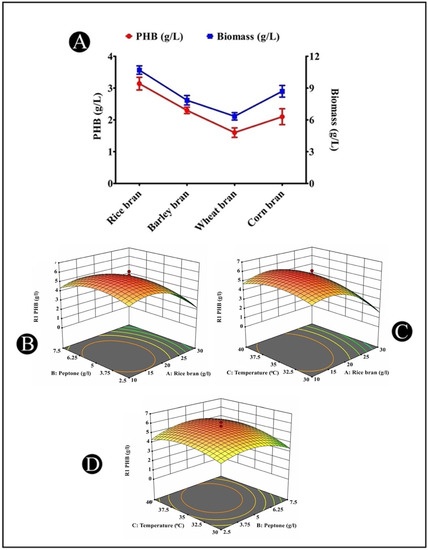 Polyhydroxybutyrate (PHB)-Based Biodegradable Polymer from Agromyces ...