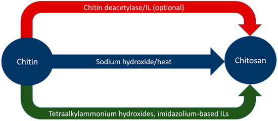 Chitin, Chitosan, and Nanochitin: Extraction, Synthesis, and Applications