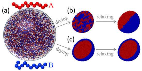 Polymers | Free Full-Text | Modeling Solution Drying by Moving a Liquid ...