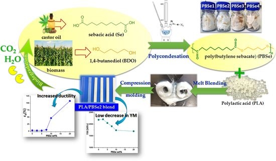 Polymers | Free Full-Text | Bio-Based Poly(lactic acid)/Poly(butylene ...