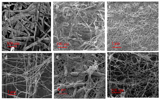 Emerging Food Packaging Applications of Cellulose Nanocomposites: A Review