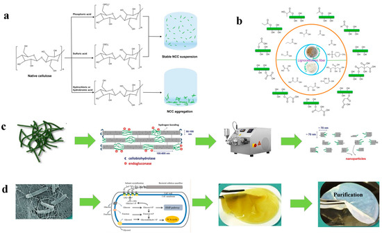 Emerging Food Packaging Applications of Cellulose Nanocomposites: A Review