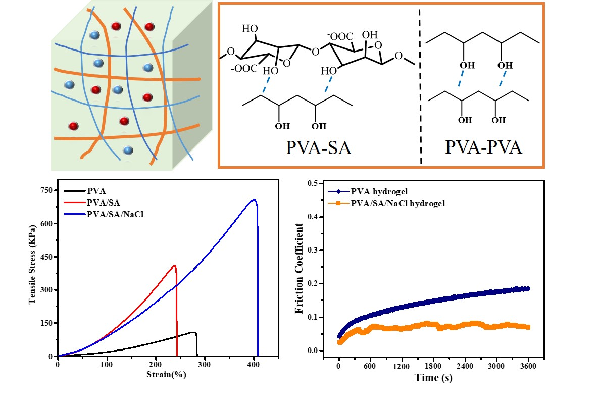 Polymers | Free Full-Text | Alginate Fiber-Enhanced Poly(vinyl alcohol ...
