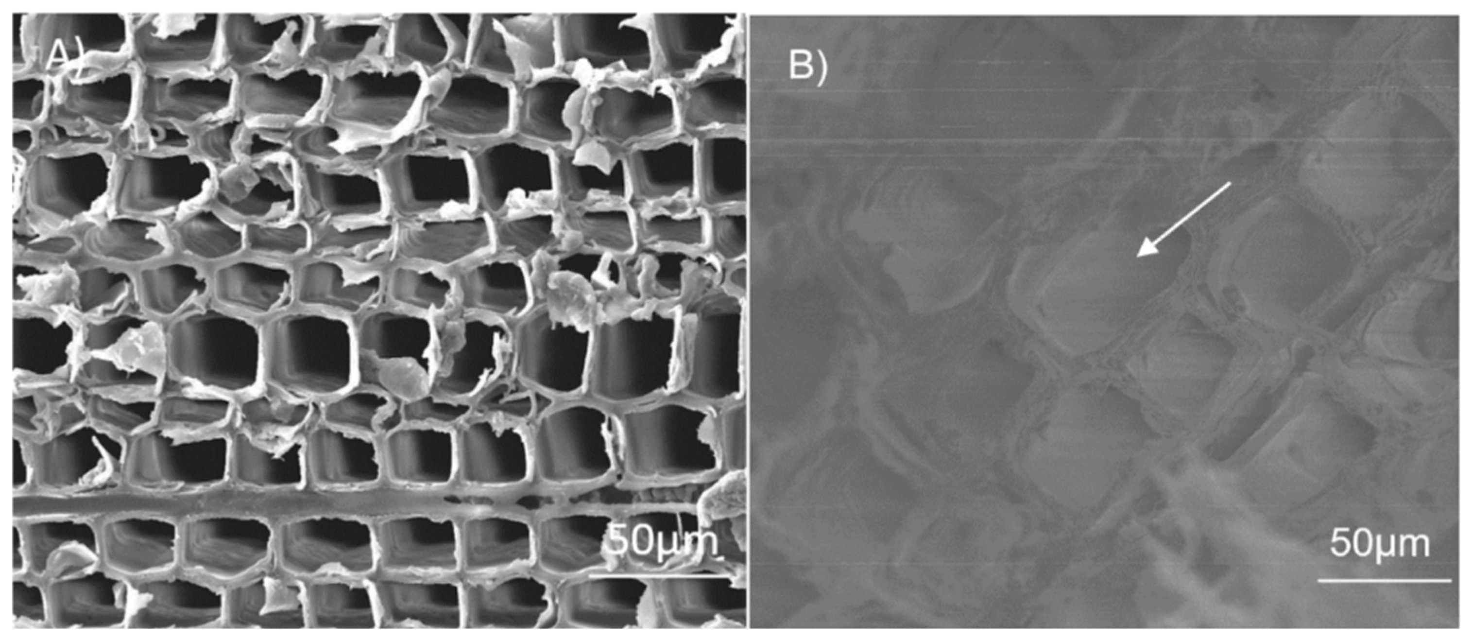 Polymers | Free Full-Text | A Review of Composite Phase Change Materials Based on Biomass Materials