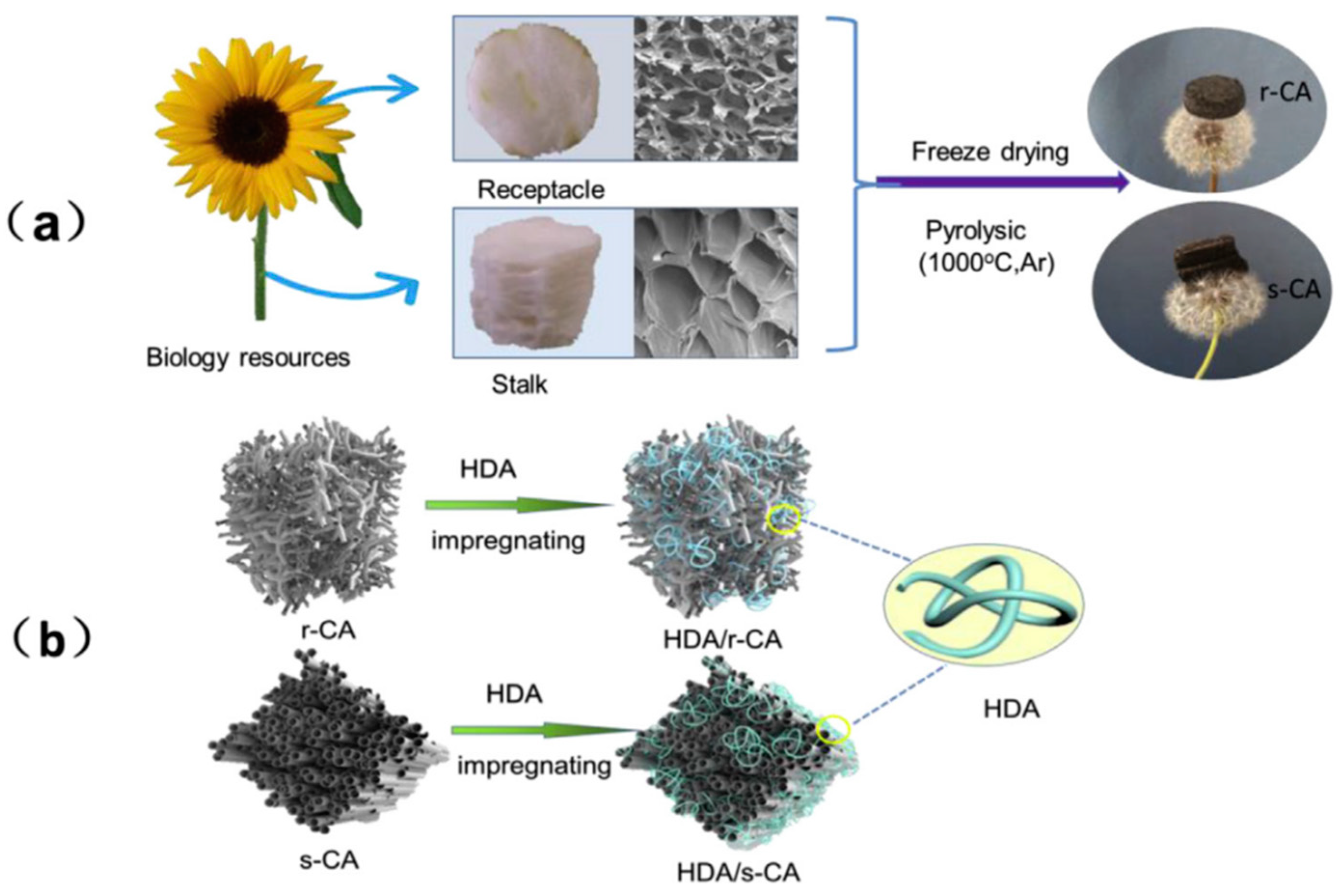 Polymers | Free Full-Text | A Review of Composite Phase Change ...