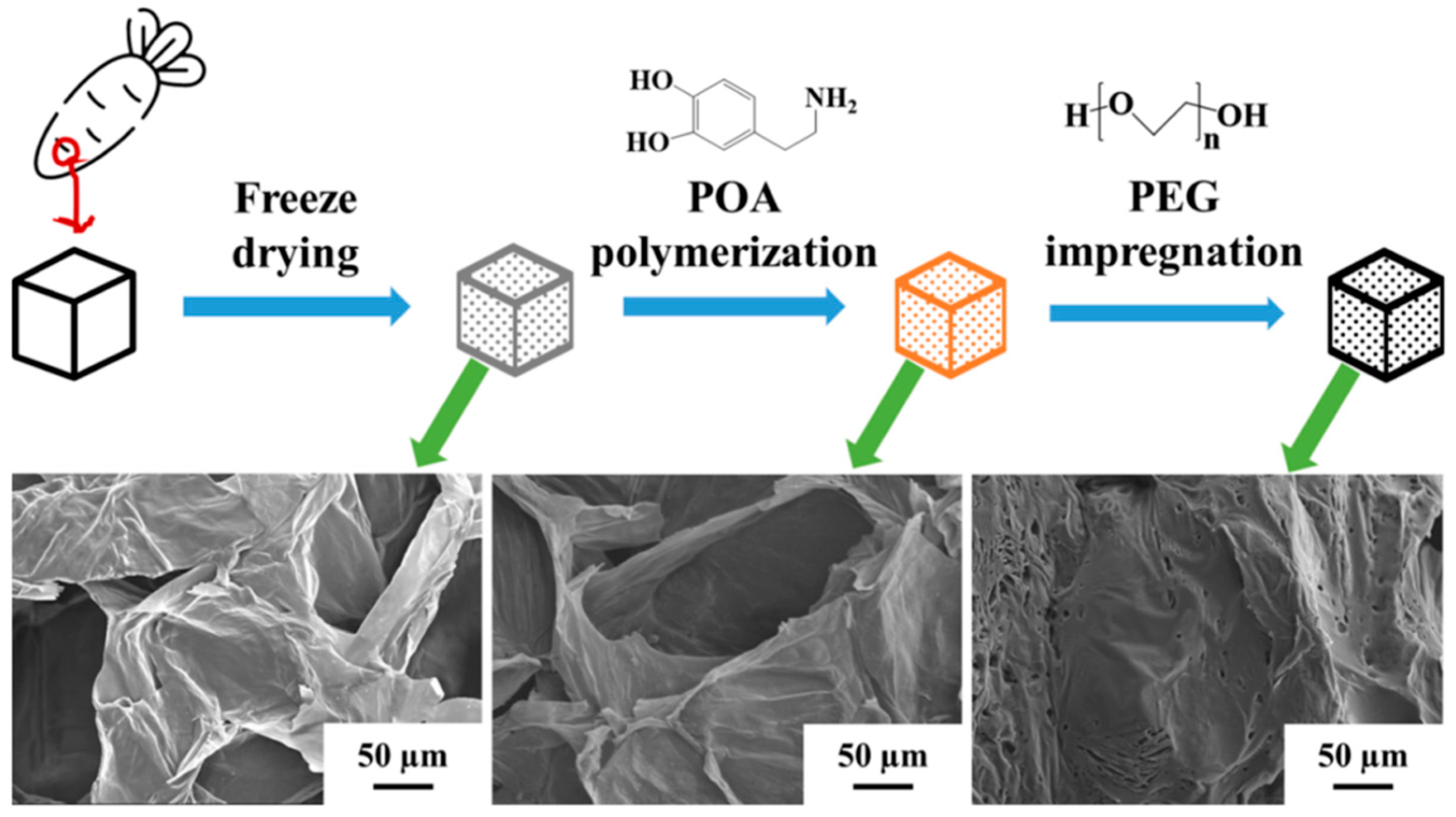 Polymers | Free Full-Text | A Review of Composite Phase Change Materials Based on Biomass Materials