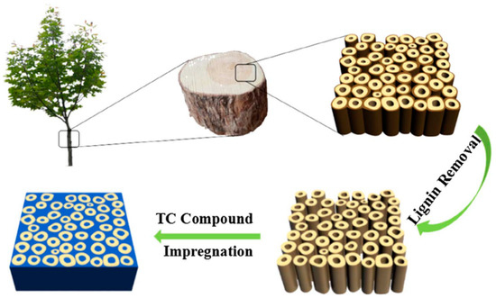 Polymers | Free Full-Text | A Review of Composite Phase Change ...