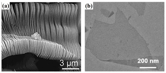 Research Progress on Two-Dimensional Layered MXene/Elastomer Nanocomposites