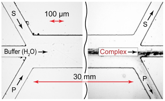 On-Chip Control over Polyelectrolyte–Surfactant Complexation in ...