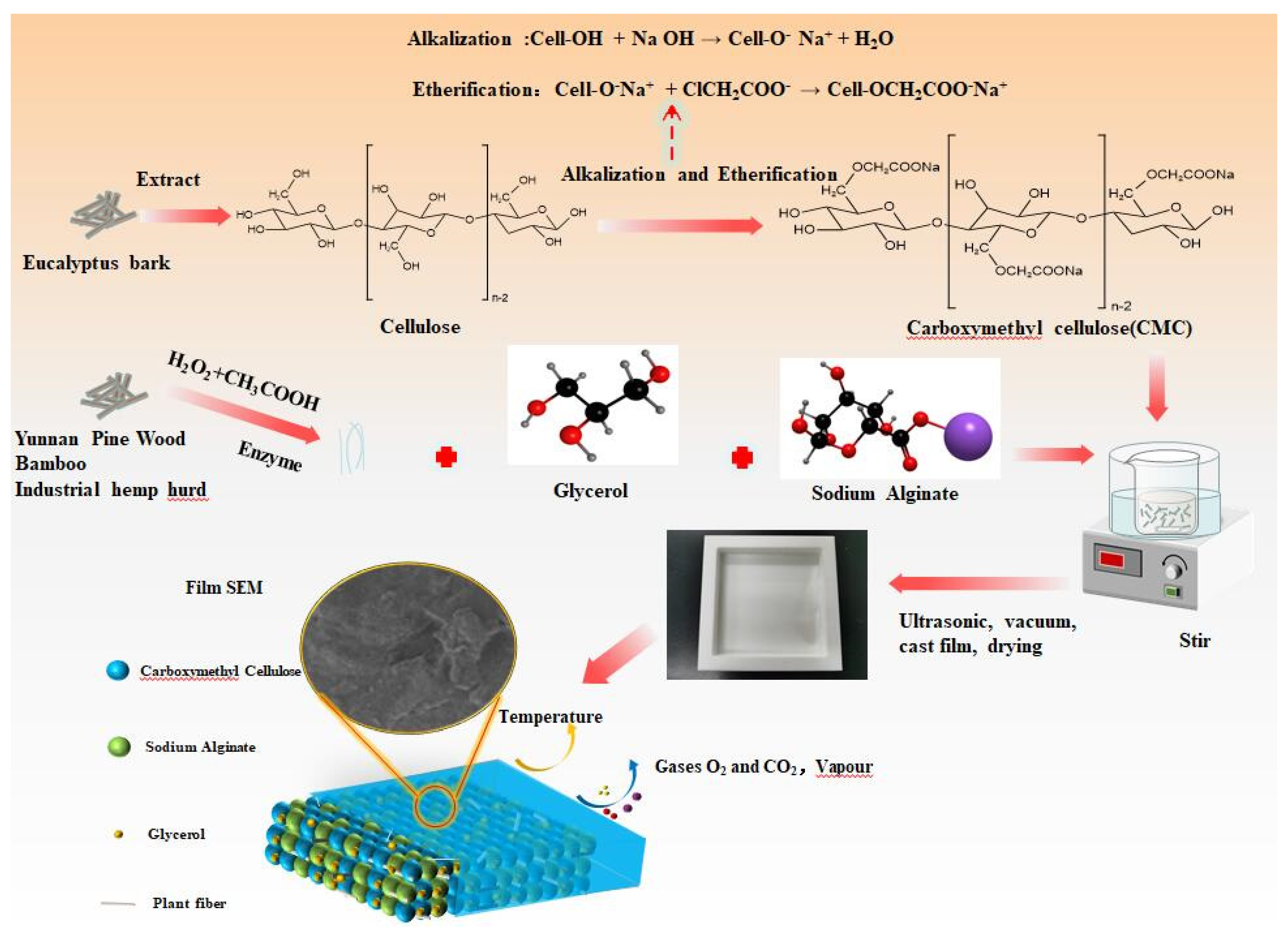 Chemical and Enzymatic Fiber Modification to Enhance the Mechanical ...