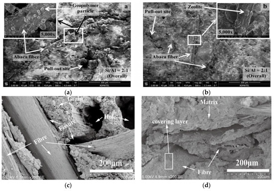 The Mechanical Properties of Plant Fiber-Reinforced Geopolymers: A Review