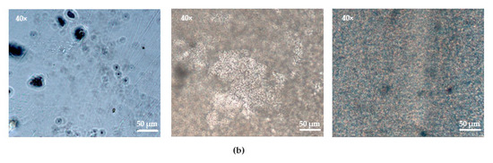 Domain Structure, Thermal and Mechanical Properties of Polycaprolactone-Based Multiblock ...