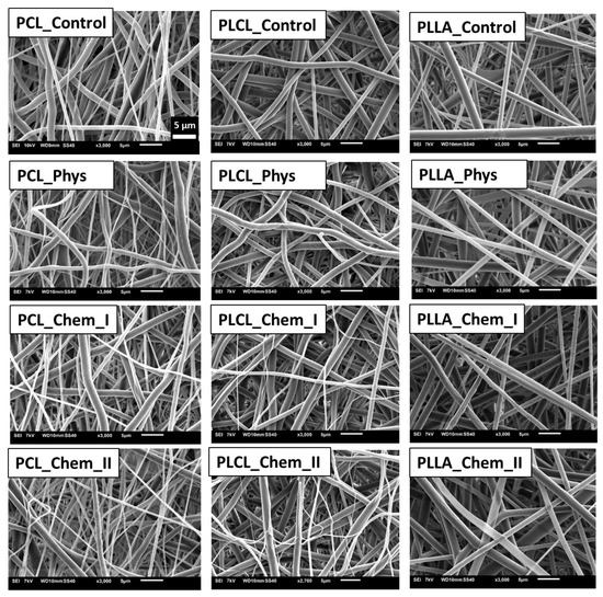 Immobilization of Gelatin on Fibers for Tissue Engineering Applications ...