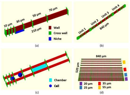 3D Polymer Architectures for the Identification of Optimal Dimensions ...