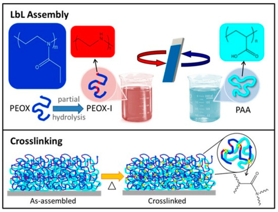 Poly(2-oxazoline)s as Stimuli-Responsive Materials for Biomedical Applications: Recent ...