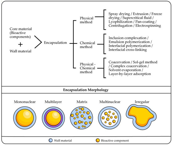 Polymers | Free Full-Text | Encapsulation of Bioactive Compounds for ...