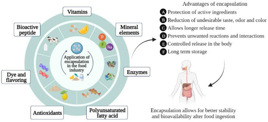 Polymers | Free Full-Text | Encapsulation of Bioactive Compounds for ...