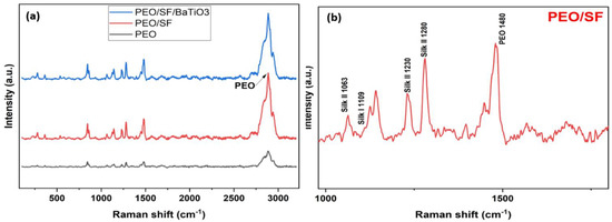 Development of New Bio-Composite of PEO/Silk Fibroin Blends Loaded with ...