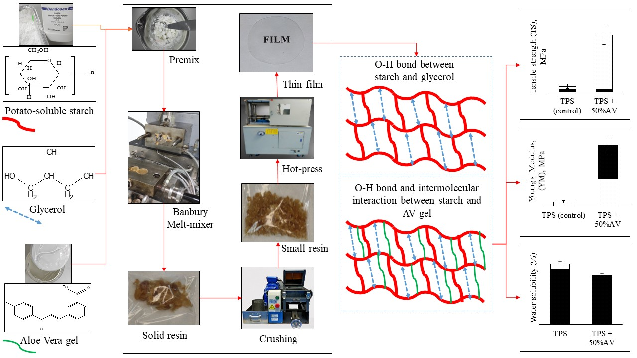 Polymers | Free Full-Text | Production of Thermoplastic Starch-Aloe ...