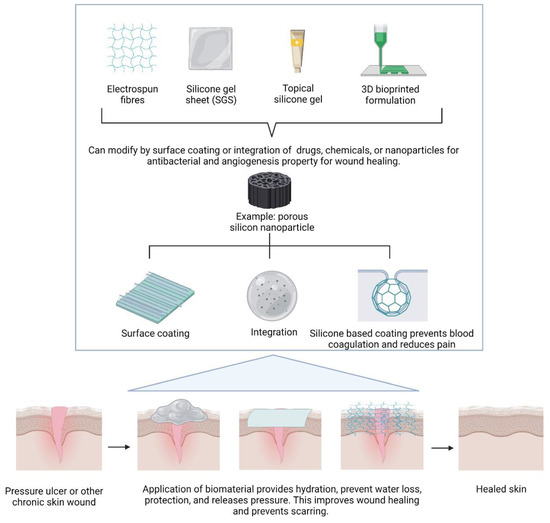 Silicon-Based Scaffold for Wound Healing Skin Regeneration Applications ...
