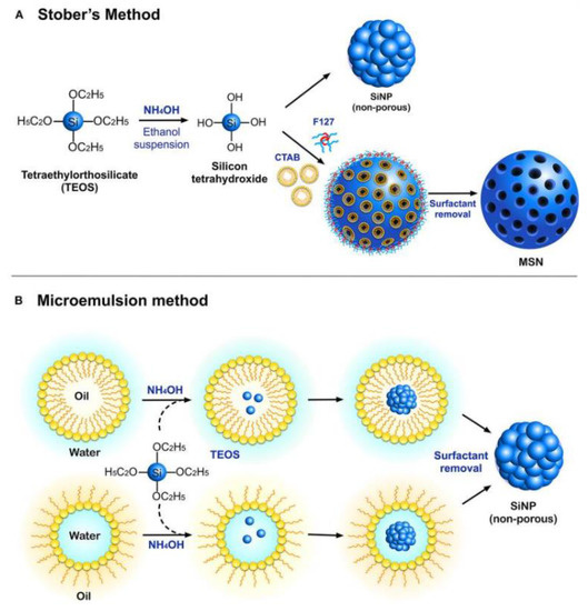Silicon-Based Scaffold for Wound Healing Skin Regeneration Applications ...
