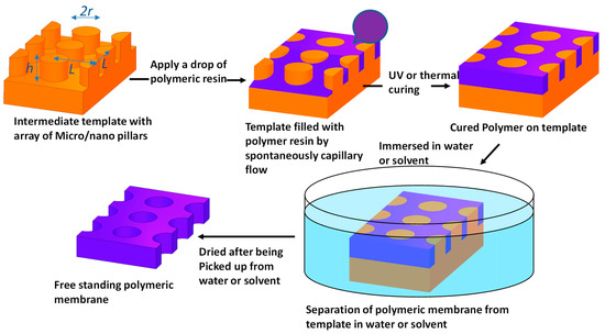 Facile Fabrication of Flexible Polymeric Membranes with Micro and Nano ...