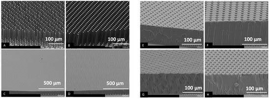 Facile Fabrication of Flexible Polymeric Membranes with Micro and Nano ...