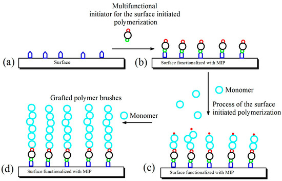 Temperature-Responsive Polymer Brush Coatings for Advanced Biomedical ...