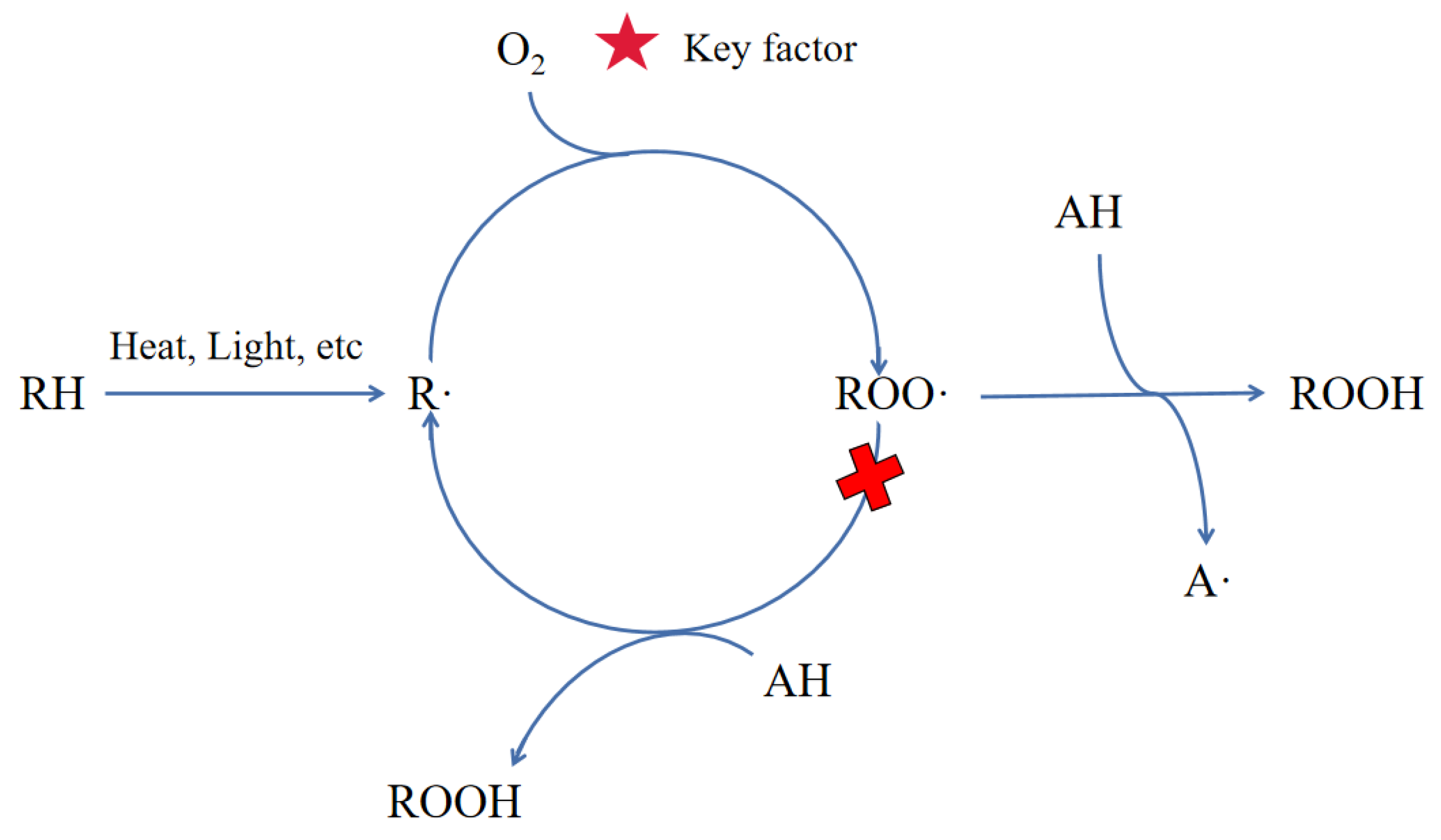 The Influence of Syringic Acid and Erucic Acid on the Antioxidant ...