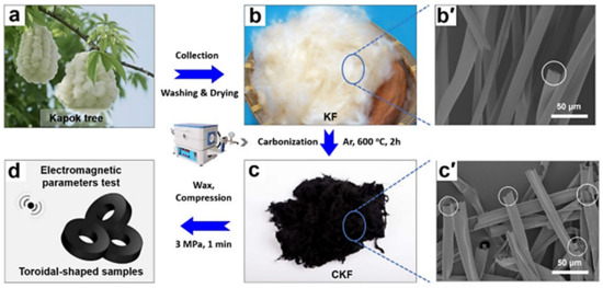 Advances in Micro-/Mesopore Regulation Methods for Plant-Derived Carbon ...