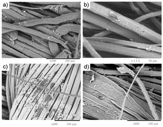 Applications of Hemp Polymers and Extracts in Food, Textile and ...