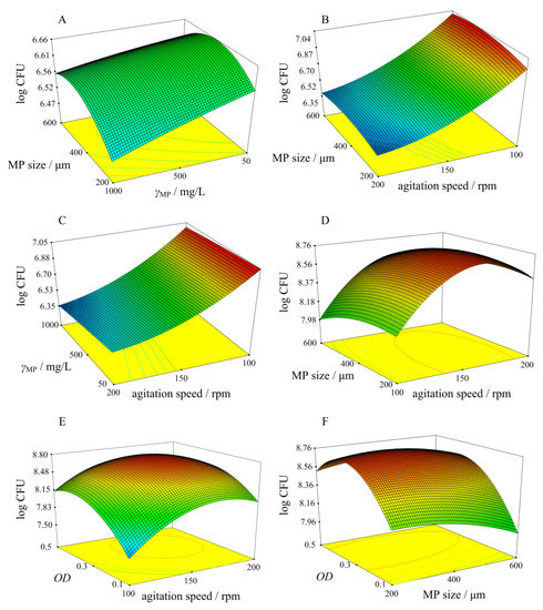 Optimization of Polystyrene Biodegradation by Bacillus cereus and ...