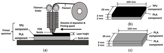 Thermoforming Characteristics of PLA/TPU Multi-Material Specimens ...